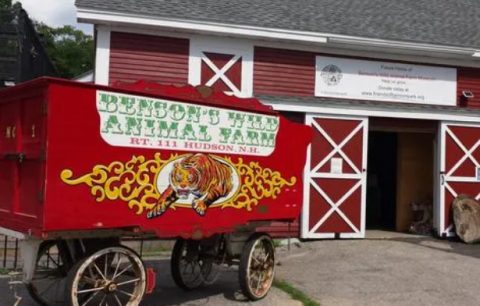 Friends of Benson Park | Great family fun in Hudson, NH.